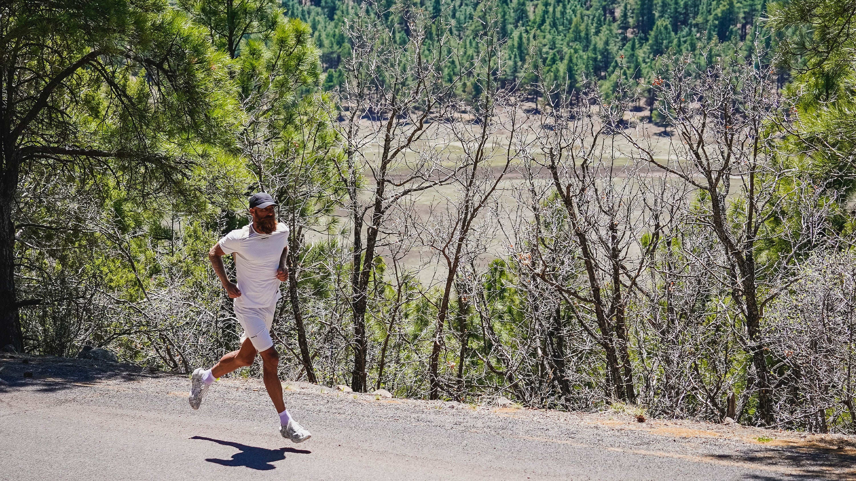 Road Run – Bushtukah