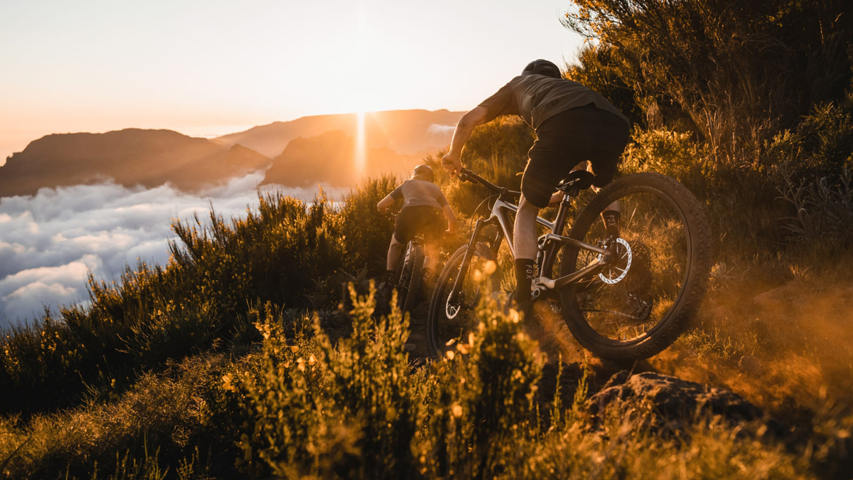 Mountain Bikes – Bushtukah